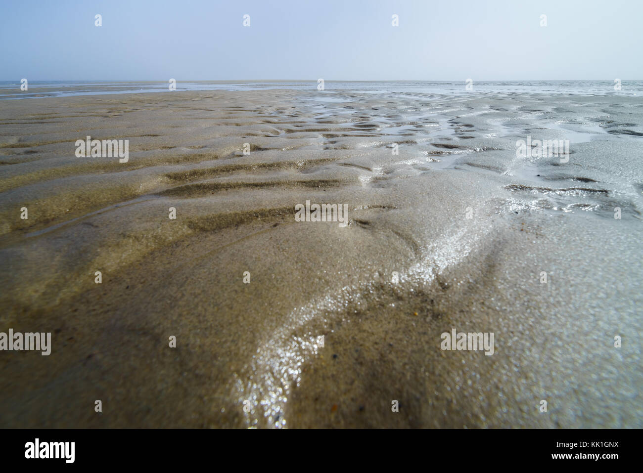 Sandy shore of the sea in the north of Sakhalin Island, Russia ...