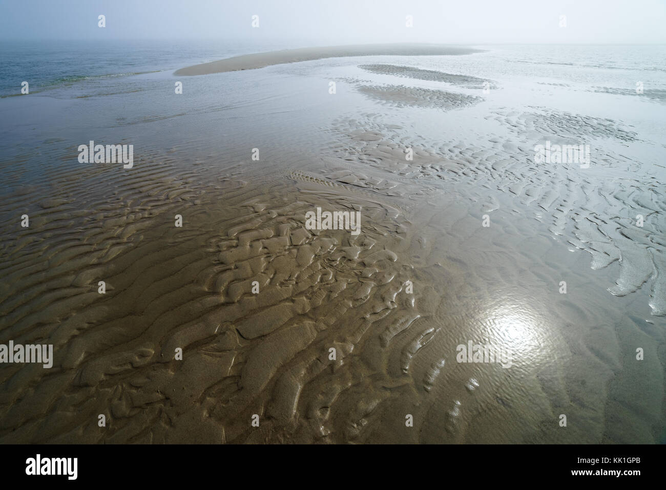 Sandy shore of the sea in the north of Sakhalin Island, Russia ...
