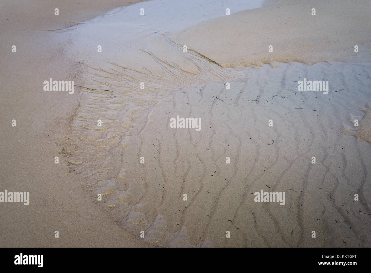 Sandy shore of the sea in the north of Sakhalin Island, Russia ...