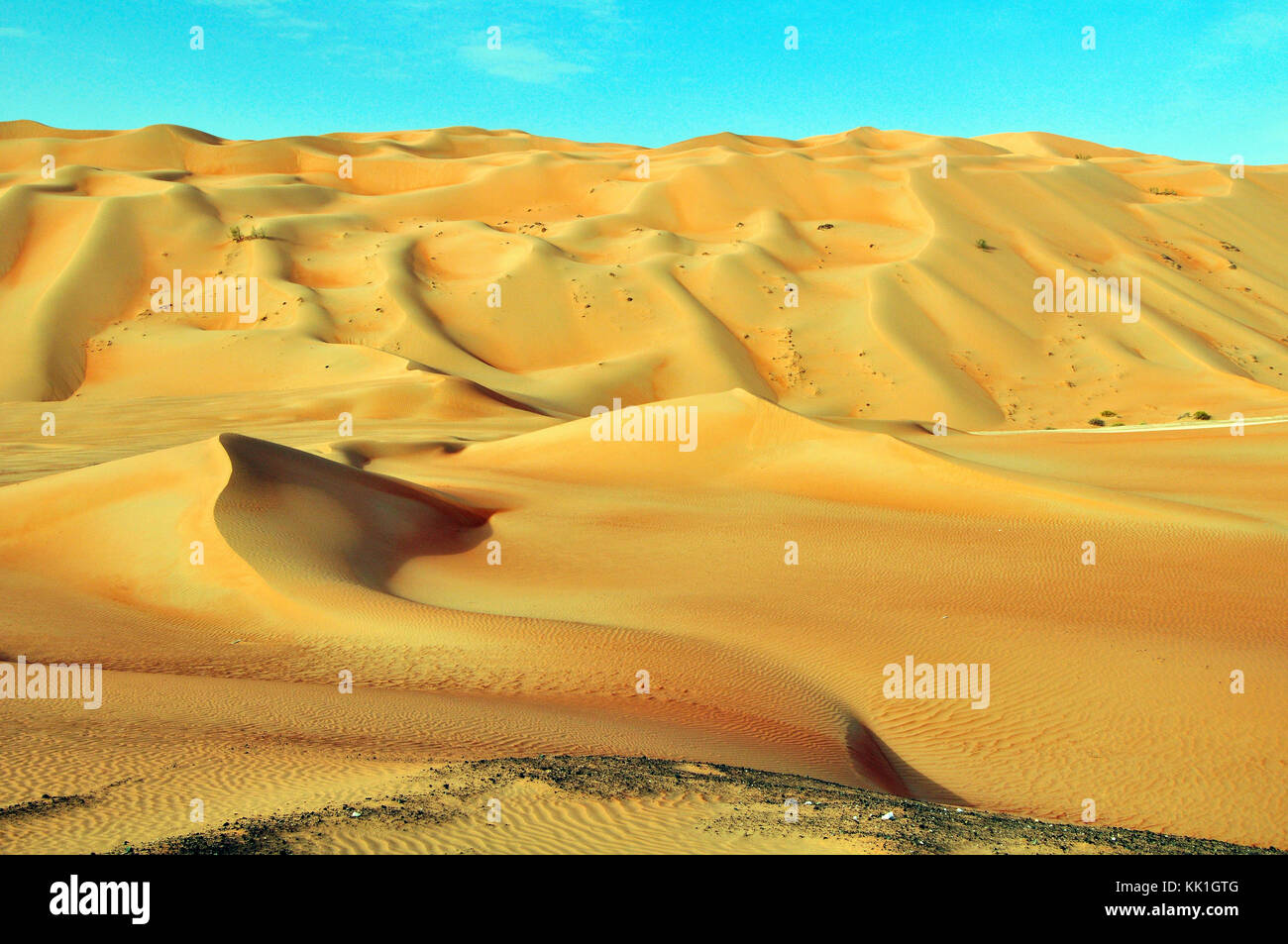 Wind-formed patterns in this collection of sand in the Arabian Desert ...