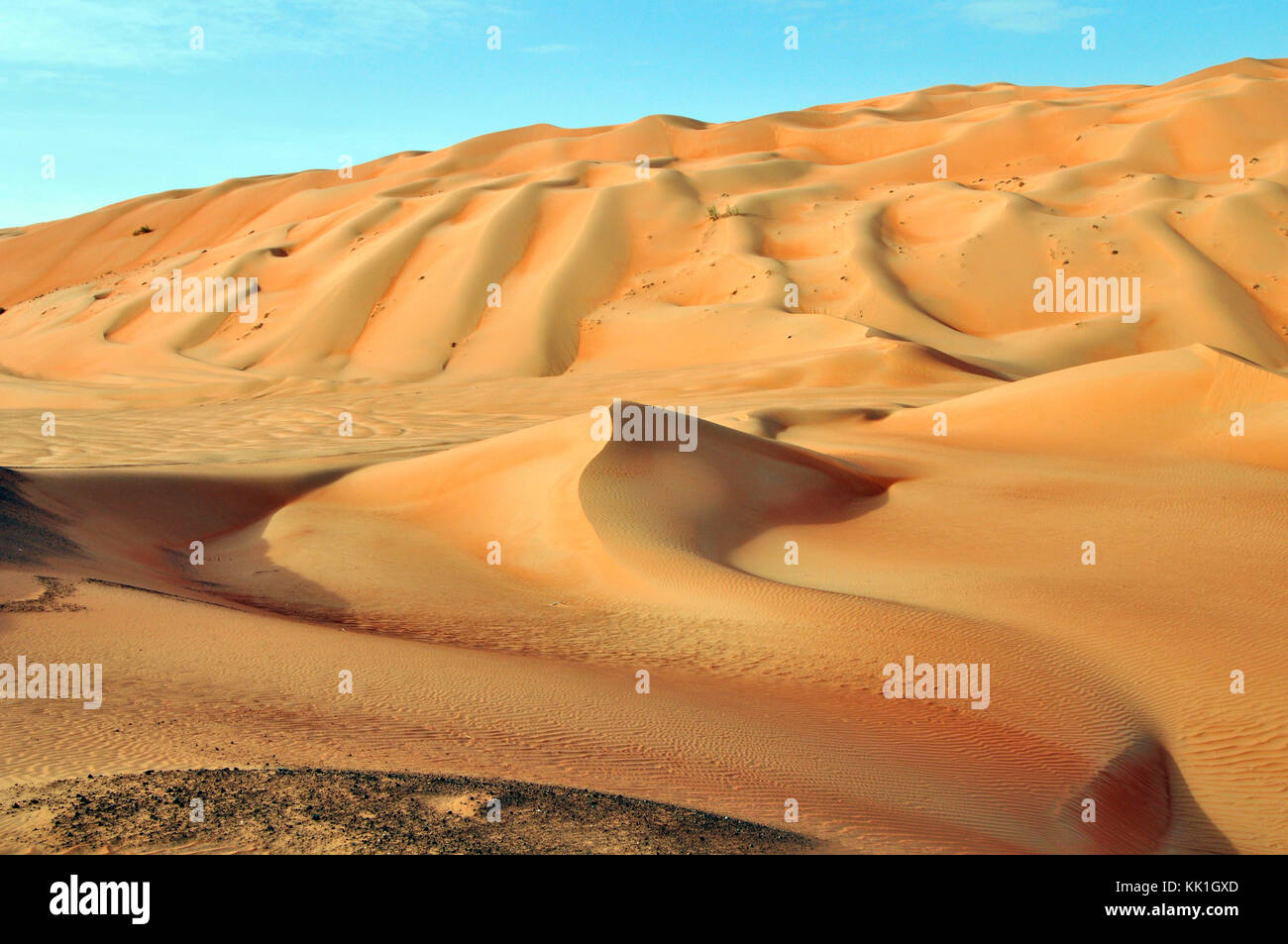 Wind-formed patterns in this collection of sand in the Arabian Desert ...