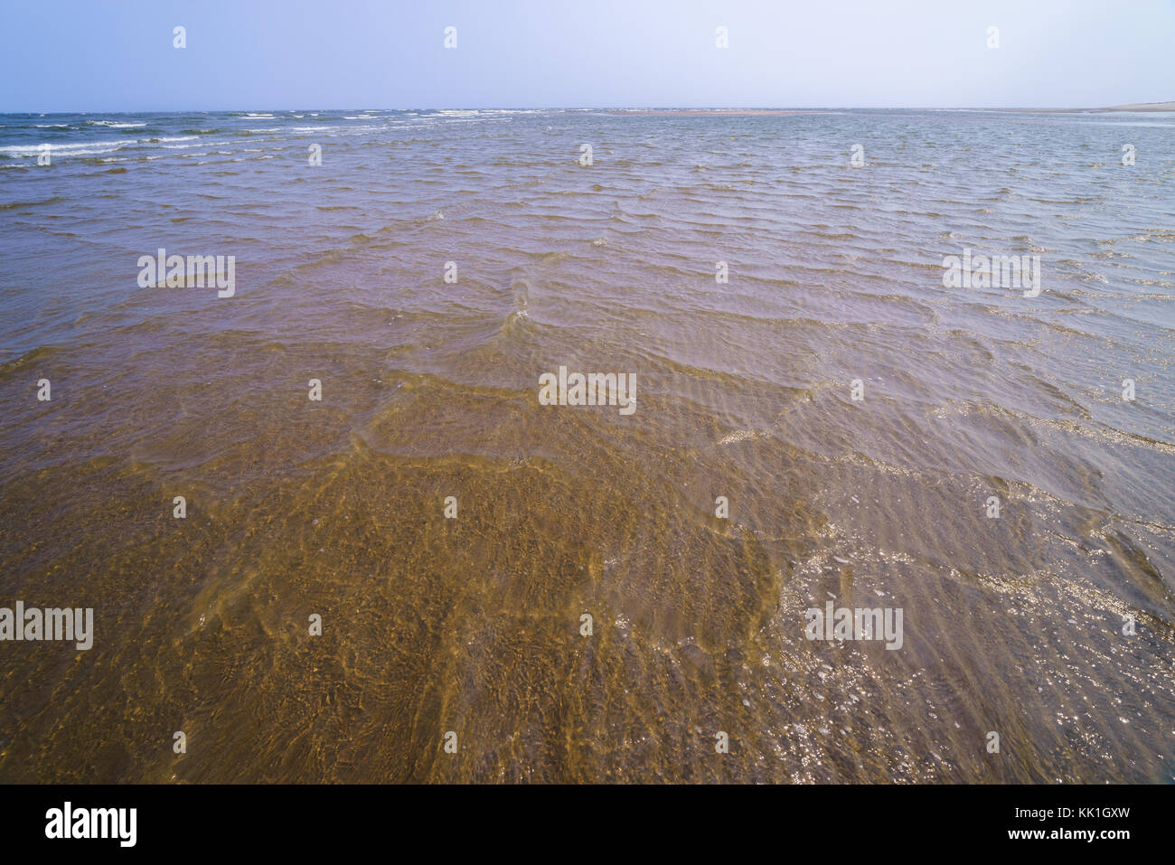 Sandy shore of the sea in the north of Sakhalin Island, Russia ...
