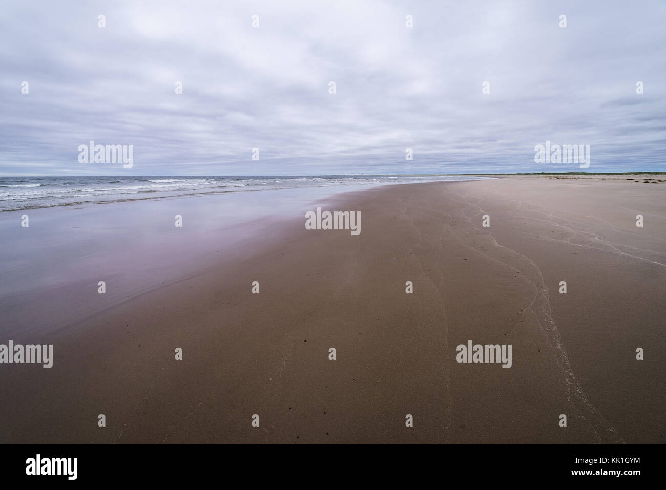 Sandy shore of the sea in the north of Sakhalin Island, Russia ...