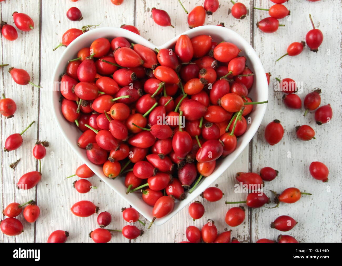 Hedgerow rose hi-res stock photography and images - Alamy
