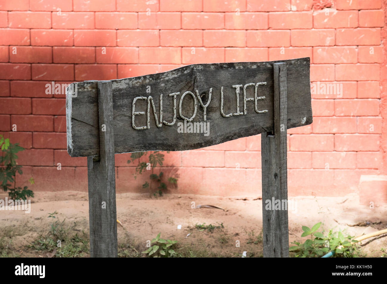 Wooden hand made sign with the words Enjoy Life on it The wording is ...