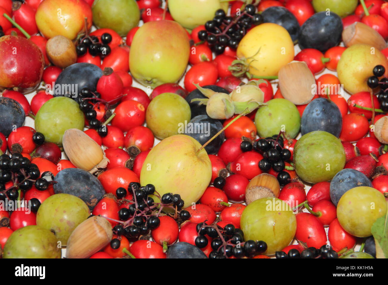 English hedgerow hi-res stock photography and images - Alamy
