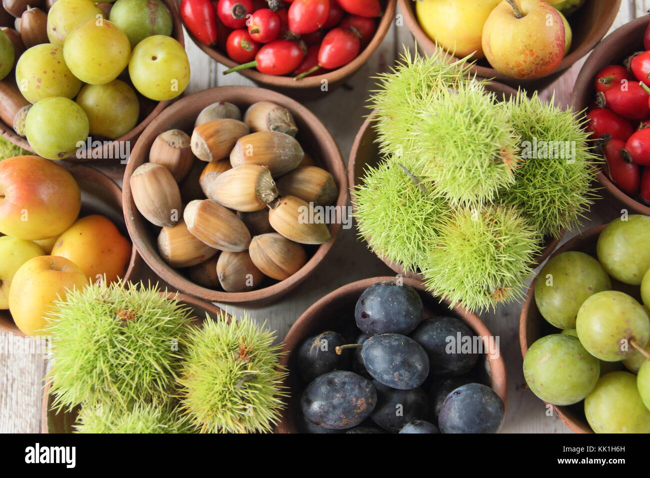 Foraged fruits hi-res stock photography and images - Alamy