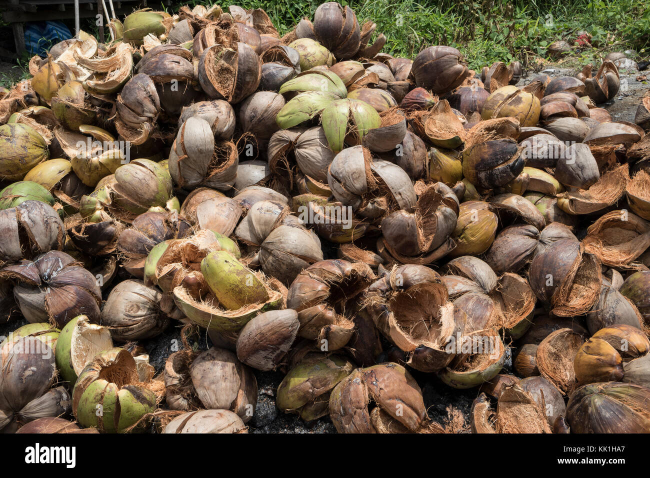 Coconut shells in Koh Samui, Thailand Stock Photo - Alamy