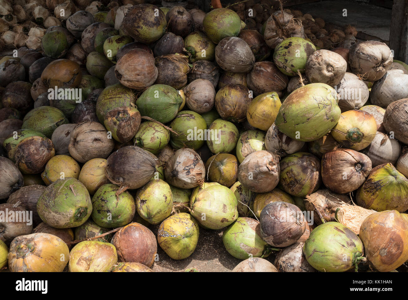 Coconut shells in Koh Samui, Thailand Stock Photo - Alamy