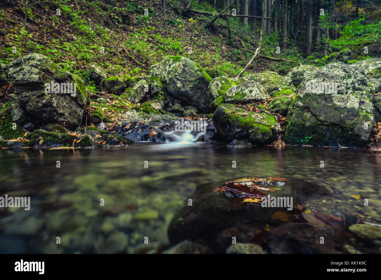 Rock Garden at Mount Mitake, Japan Stock Photo - Alamy