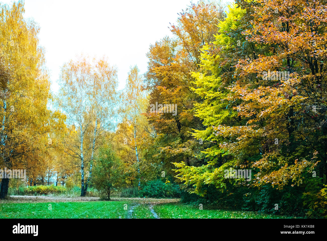 Beautiful autumn park. Foliage on the green grass. Autumn day in the ...