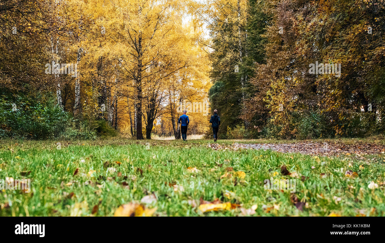 Running athletes in the park on a run in the early morning. Several ...