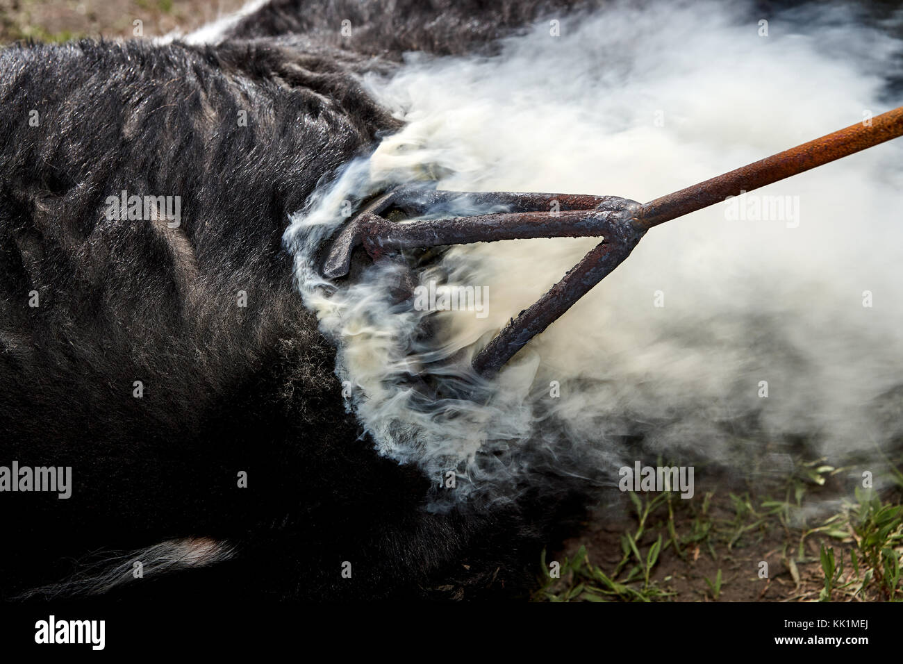 Identifying mark hi-res stock photography and images - Alamy
