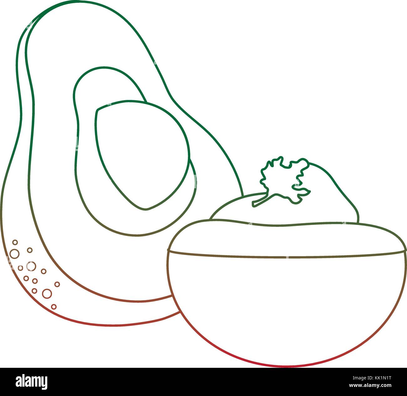 Isolated avocado design Stock Vector Image & Art - Alamy