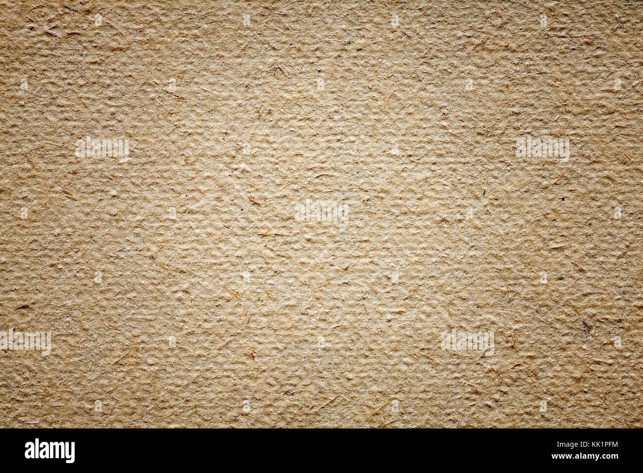 Natural Paper Texture