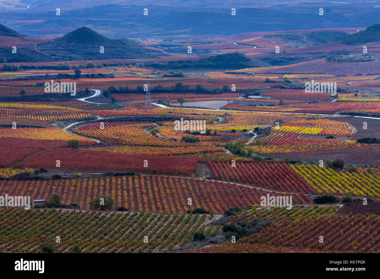 Vineyard in aturmn, La Rioja, Alava, Basque Country, Spain, Europe ...