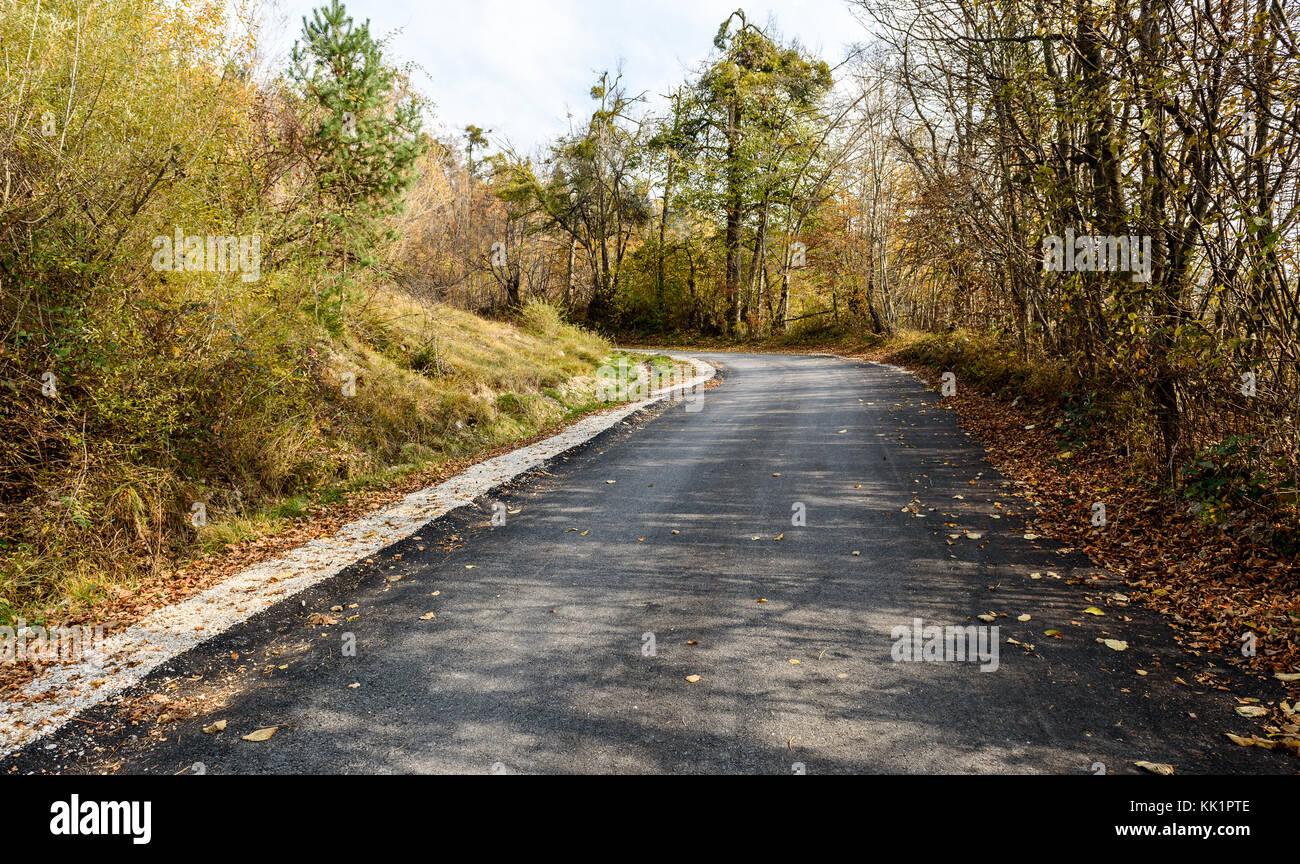 Dreamy scenic landscape of asphalt road across autumn orange woods ...