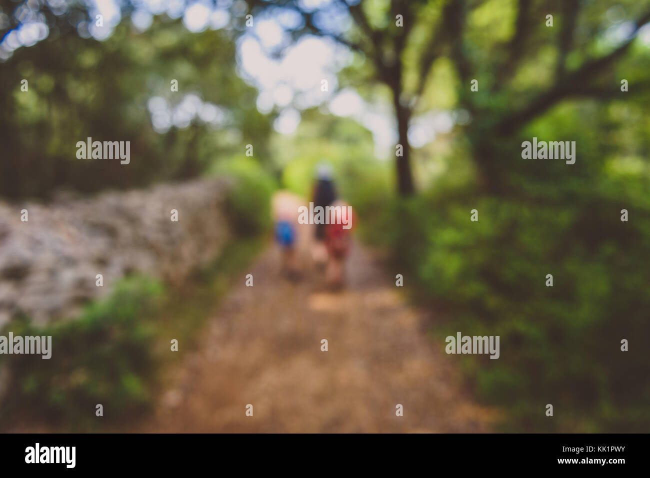 Family hiking on country road with rock fence and woods. Mother and ...