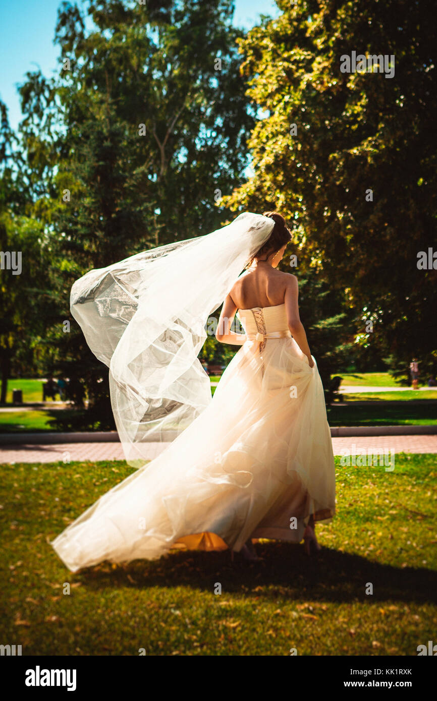 Beautiful brunette bride hi-res stock photography and images - Alamy