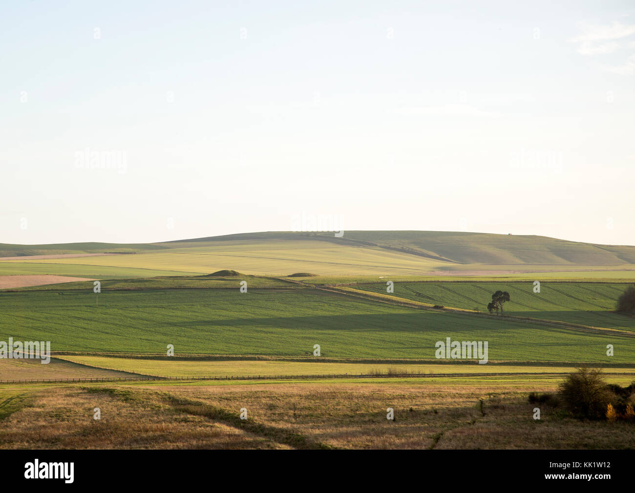 Rolling chalk downland landscape West Down, Beckhampton, Wiltshire ...