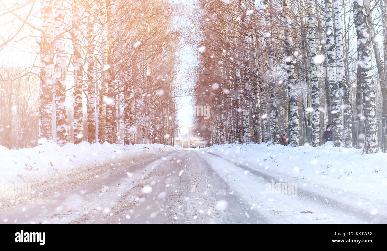 Winter landscape snow covered expanses. A park in the winter in the ...