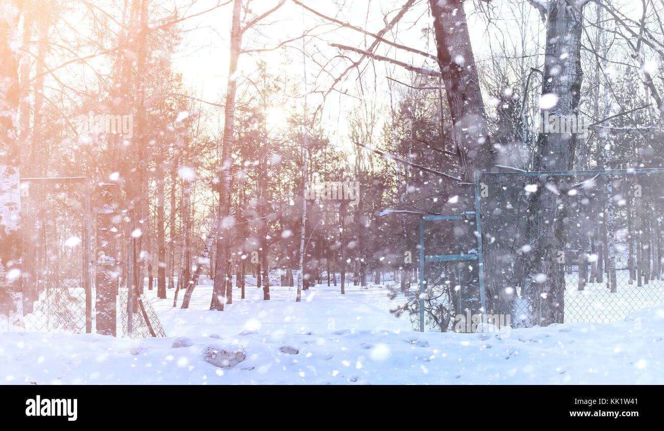 Winter landscape snow covered expanses. A park in the winter in the ...