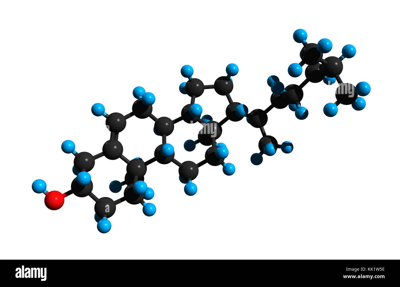 Sterol hi-res stock photography and images - Alamy