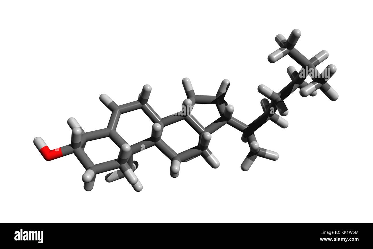 Cholesterol molecular model hi-res stock photography and images - Alamy