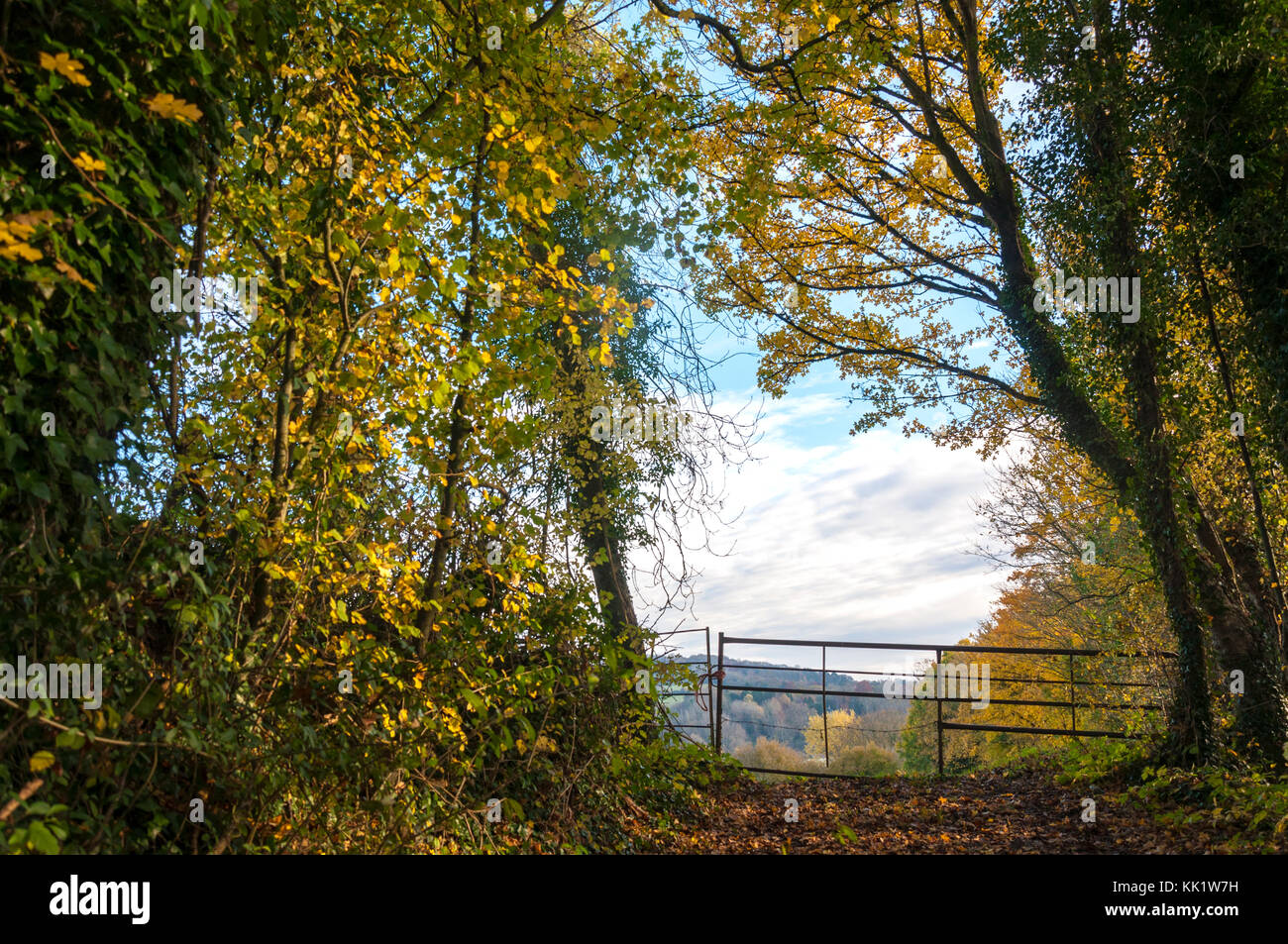 Village of Batheaston, Somerset, UK. Rural England in autumn weather ...