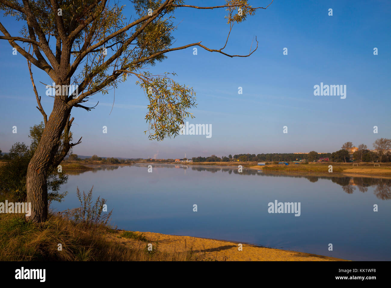 Beautiful landscape. Lake early in the morning with a fog Stock Photo ...