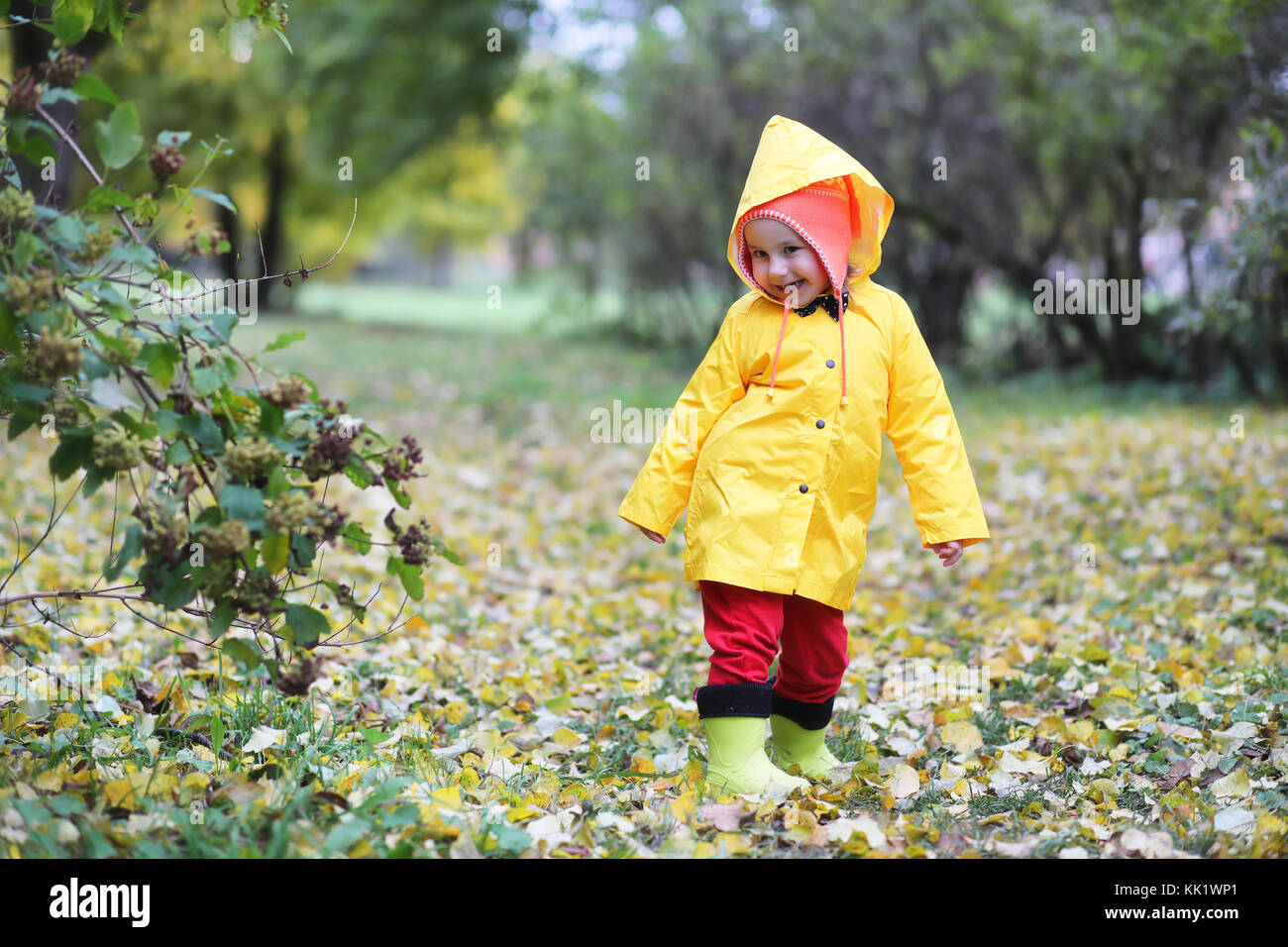 Children in the autumn park walk Stock Photo - Alamy