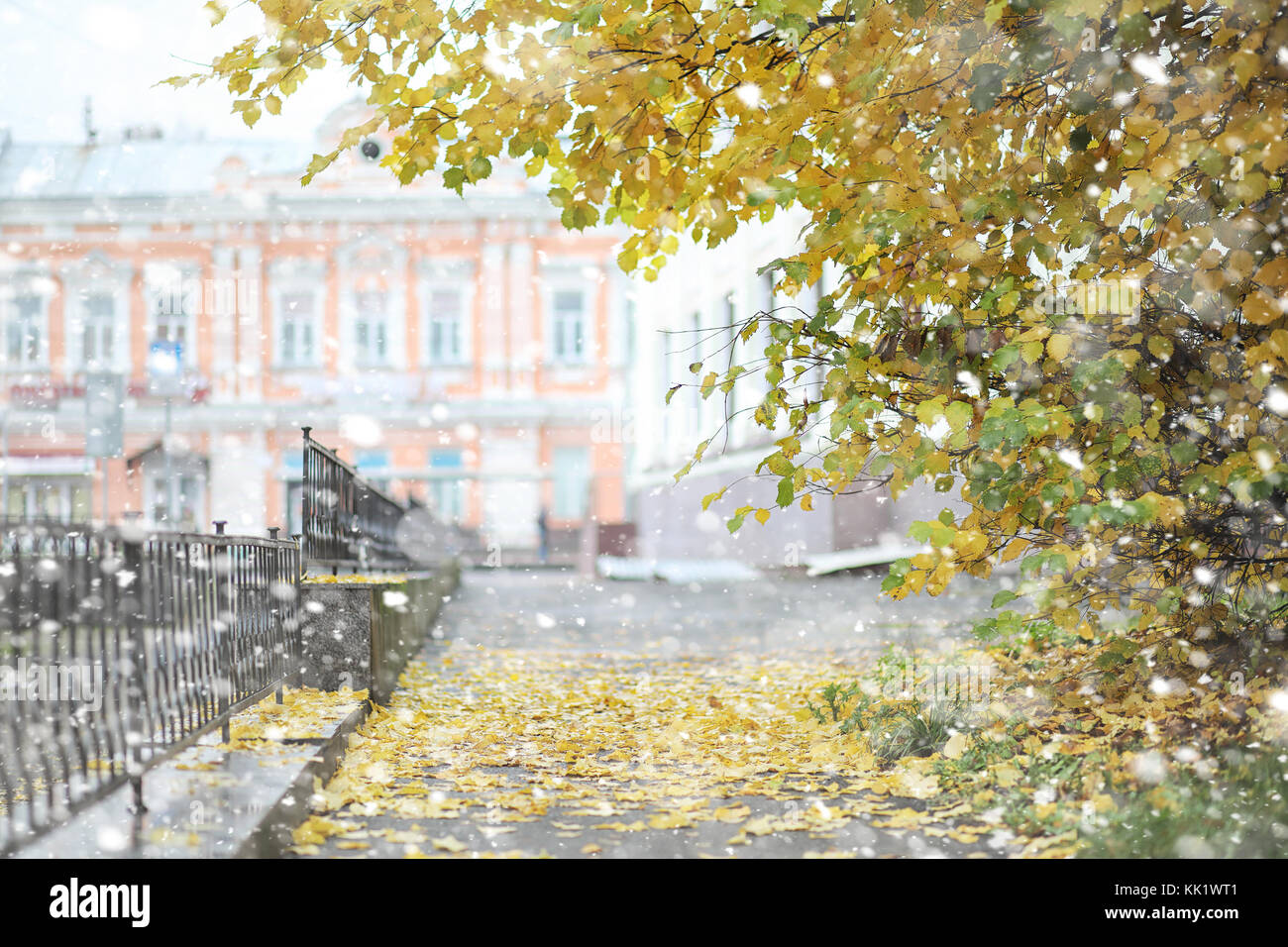 Autumn landscape. The leaves fly from the trees in the city. Aut Stock ...