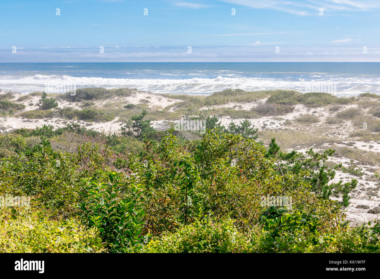 dunes in east hampton with atlantic ocean in background, east hampton ...