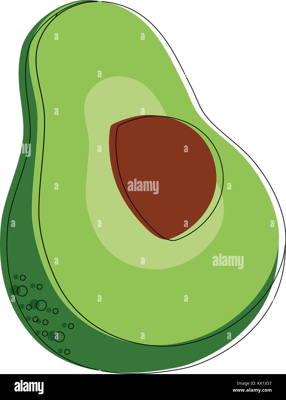 Isolated avocado design Stock Vector Image & Art - Alamy