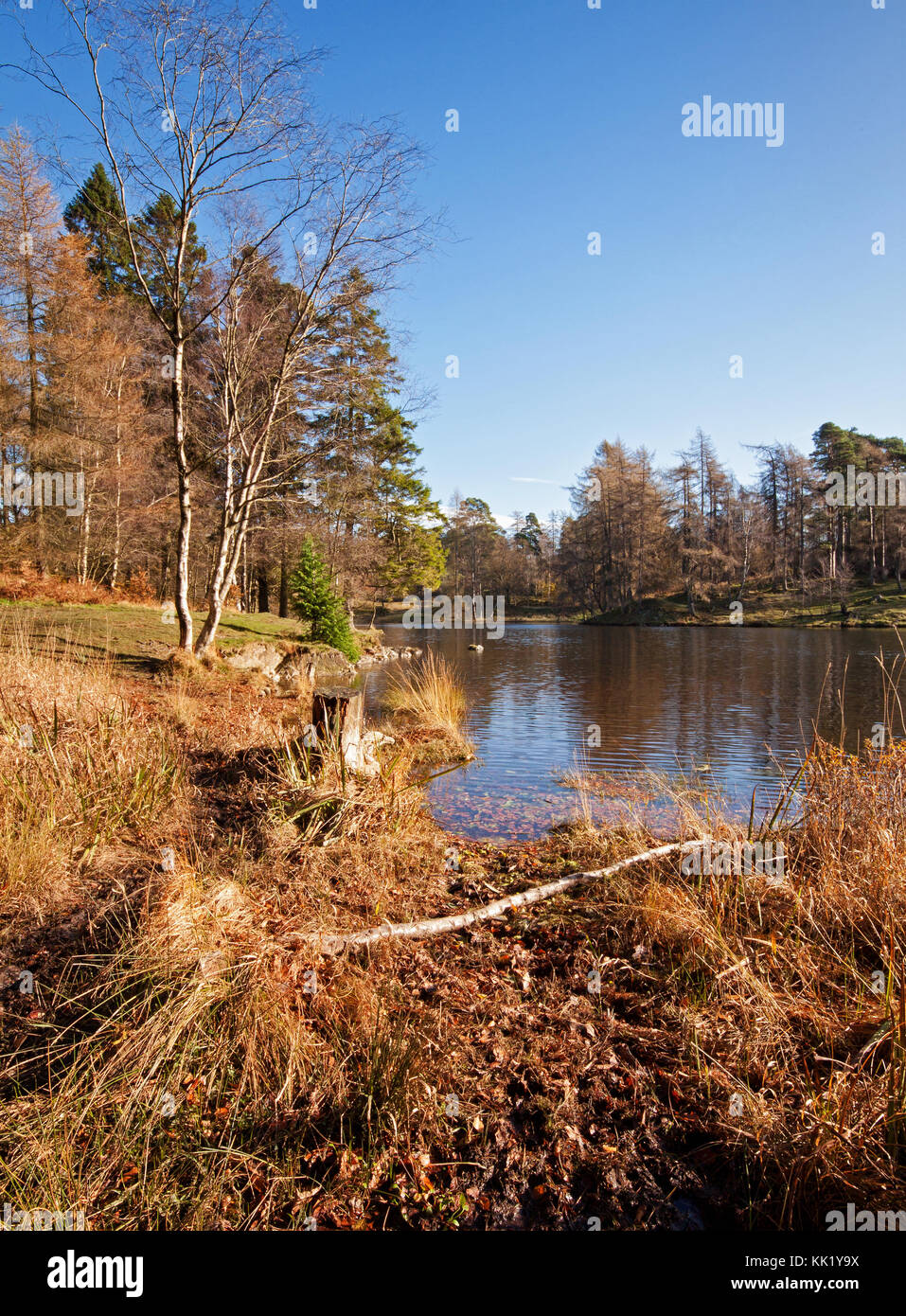 Visit Tarn Hows High Resolution Stock Photography and Images - Alamy