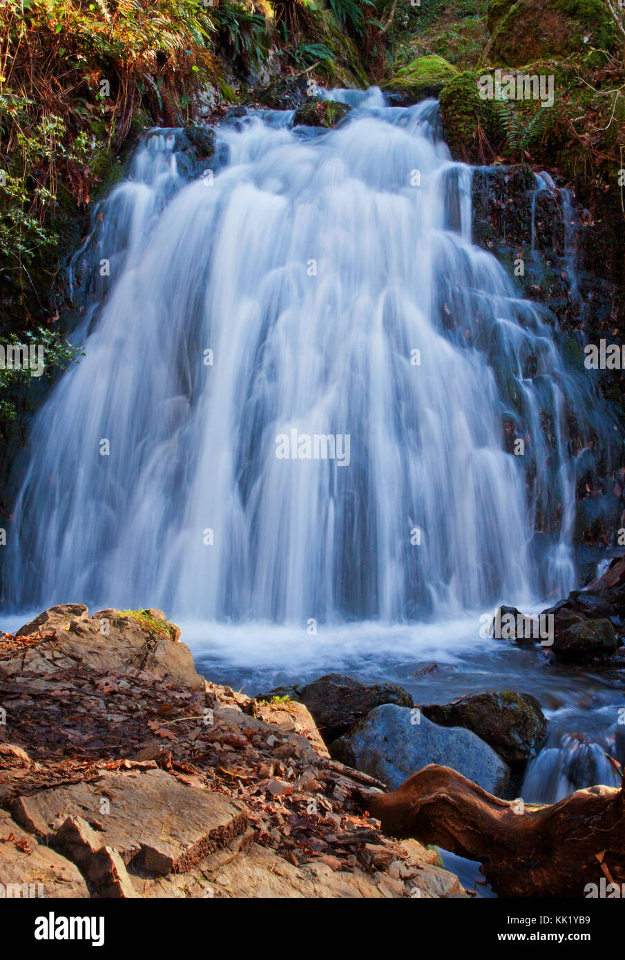 Tom Gill: a secluded waterfall at Tarn Hows Stock Photo - Alamy