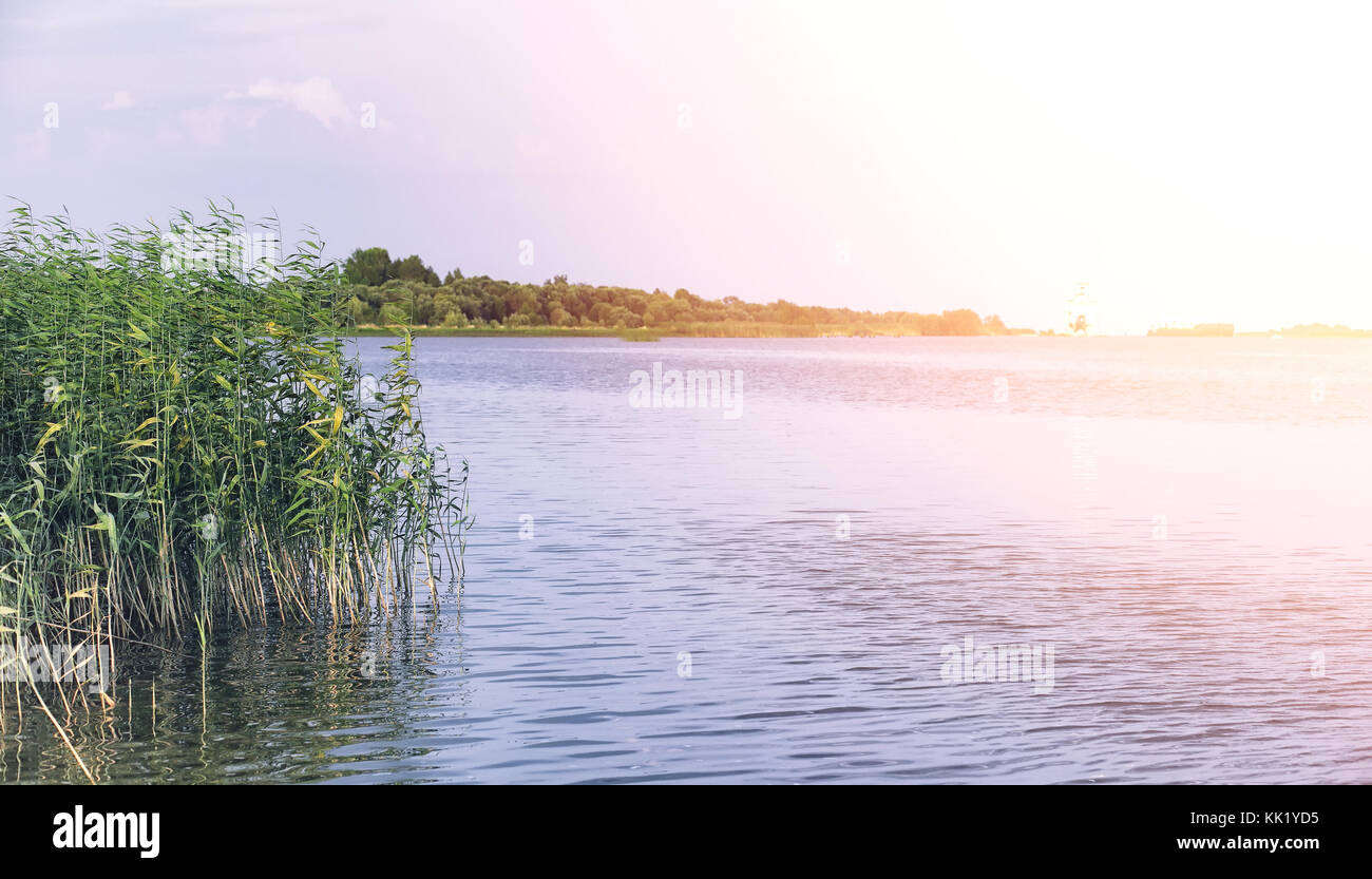 Landscape lake. Texture of water. The lake is at dawn. The mouth Stock ...