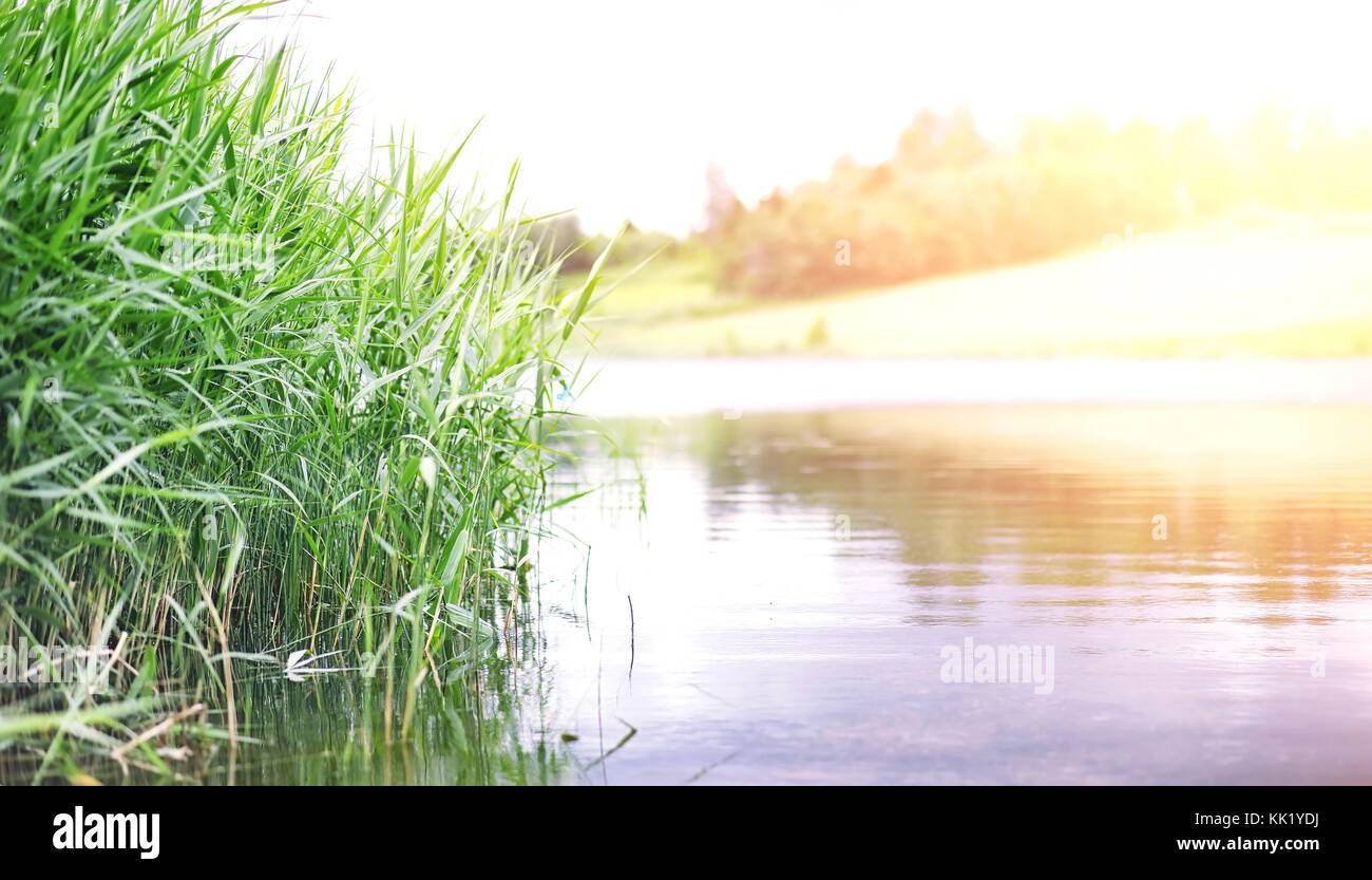 Landscape lake. Texture of water. The lake is at dawn. The mouth Stock ...