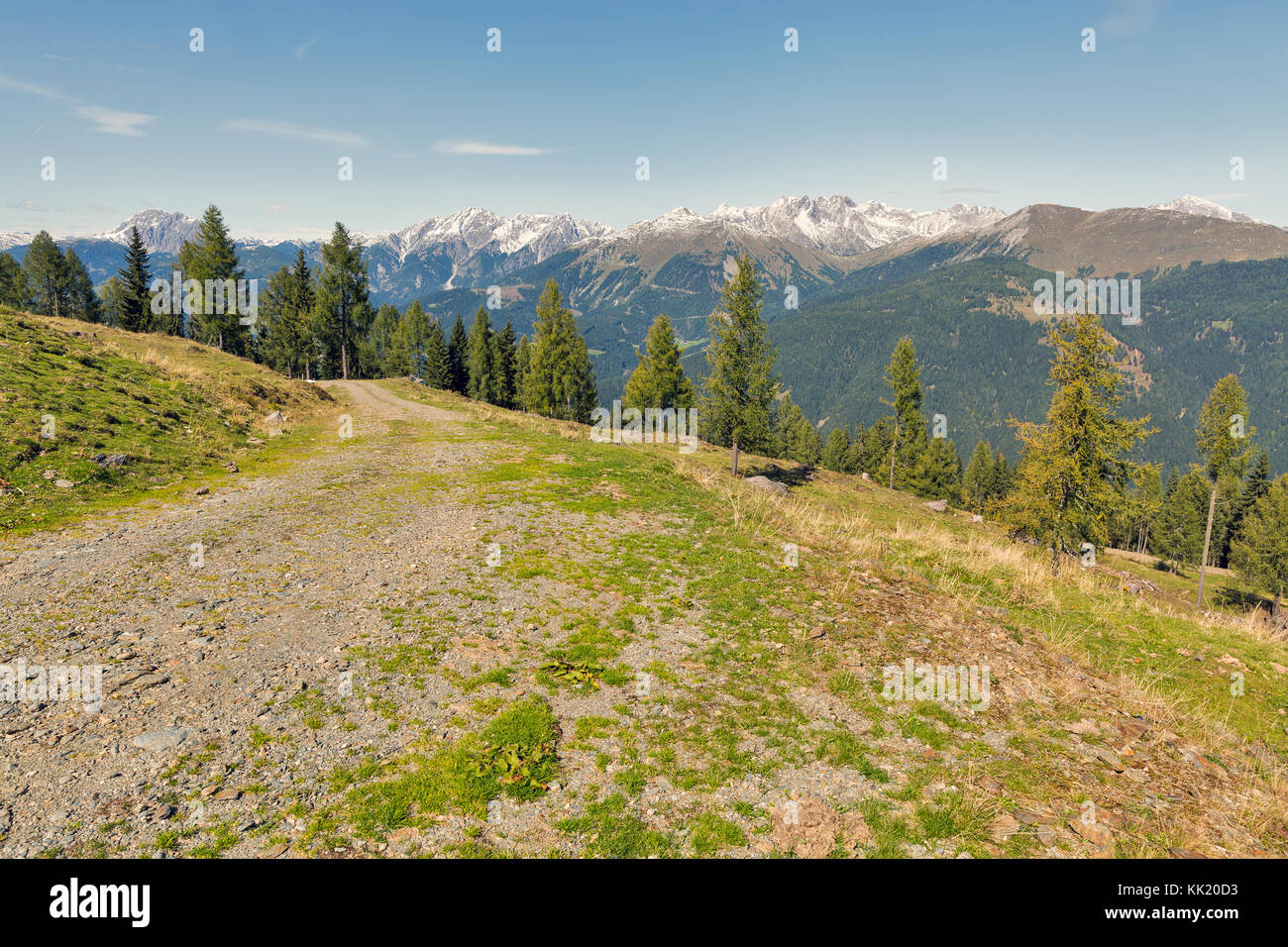 Countryside landscape spruce forest hi-res stock photography and images ...