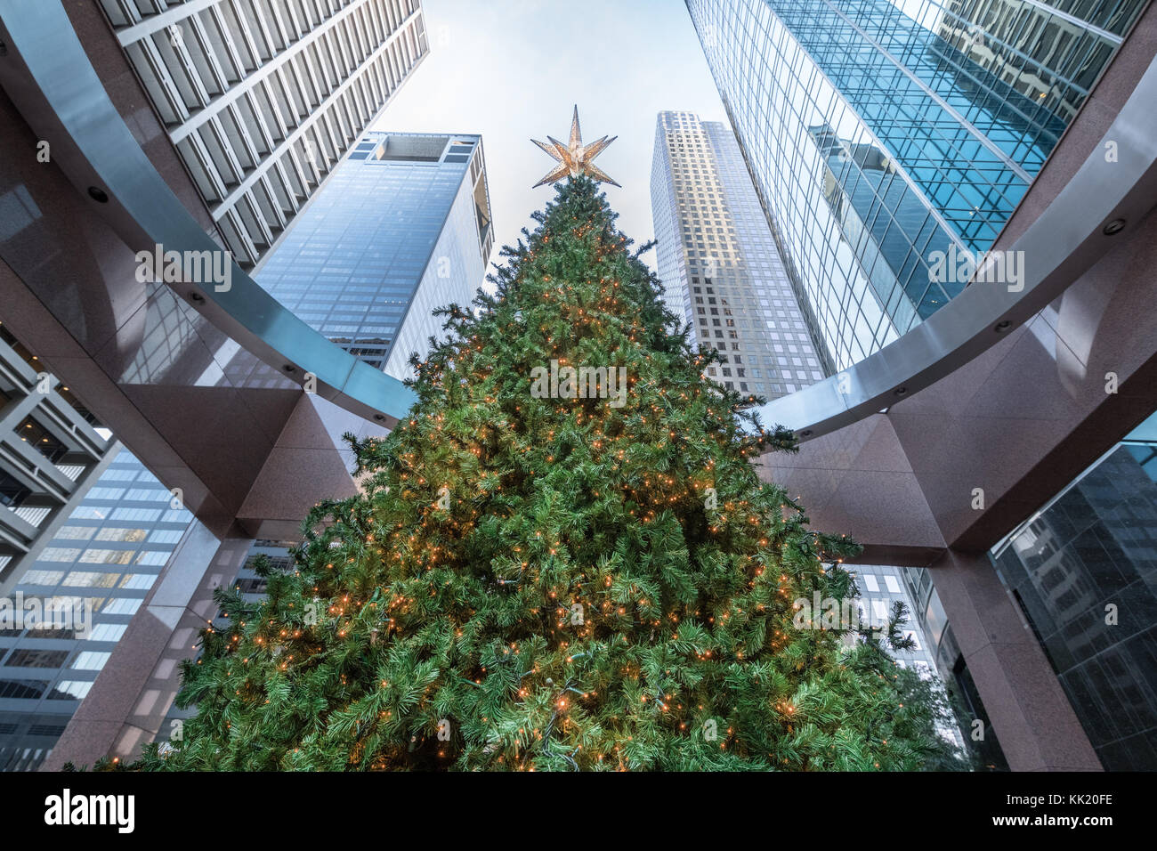 Tall Decorated Christmas Tree Overshadowed by Tall Downtown Skyscrapers ...
