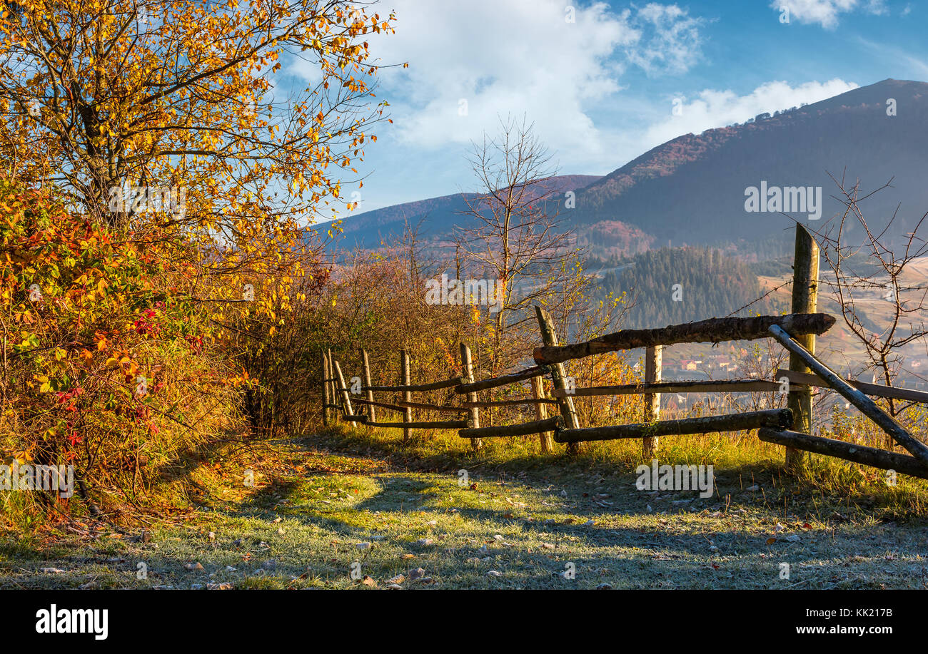 autumn rural scenery with fence on hillside. yellow foliage on trees ...