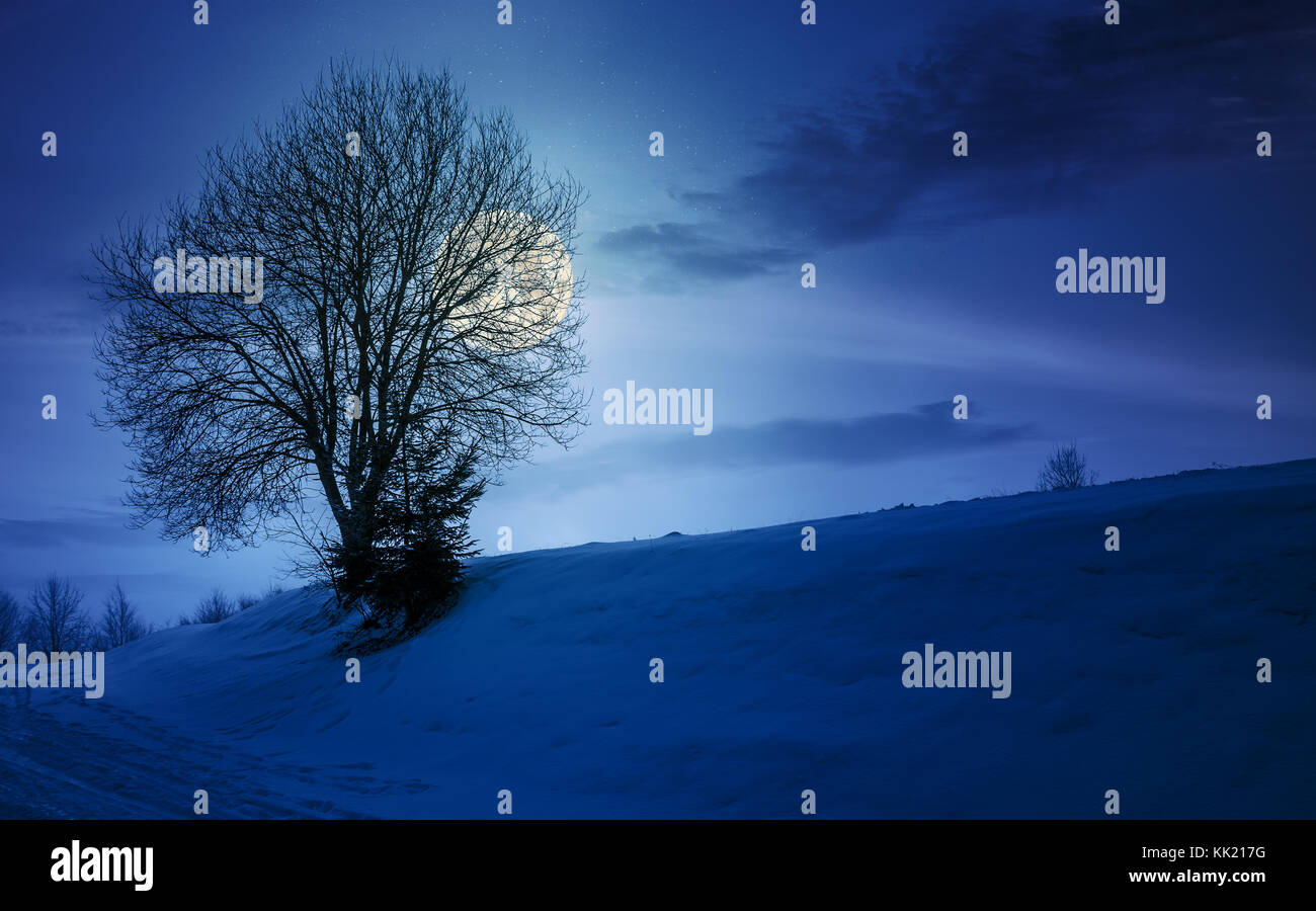 leafless tree on snowy slope at night in full moon light. lovely winter ...