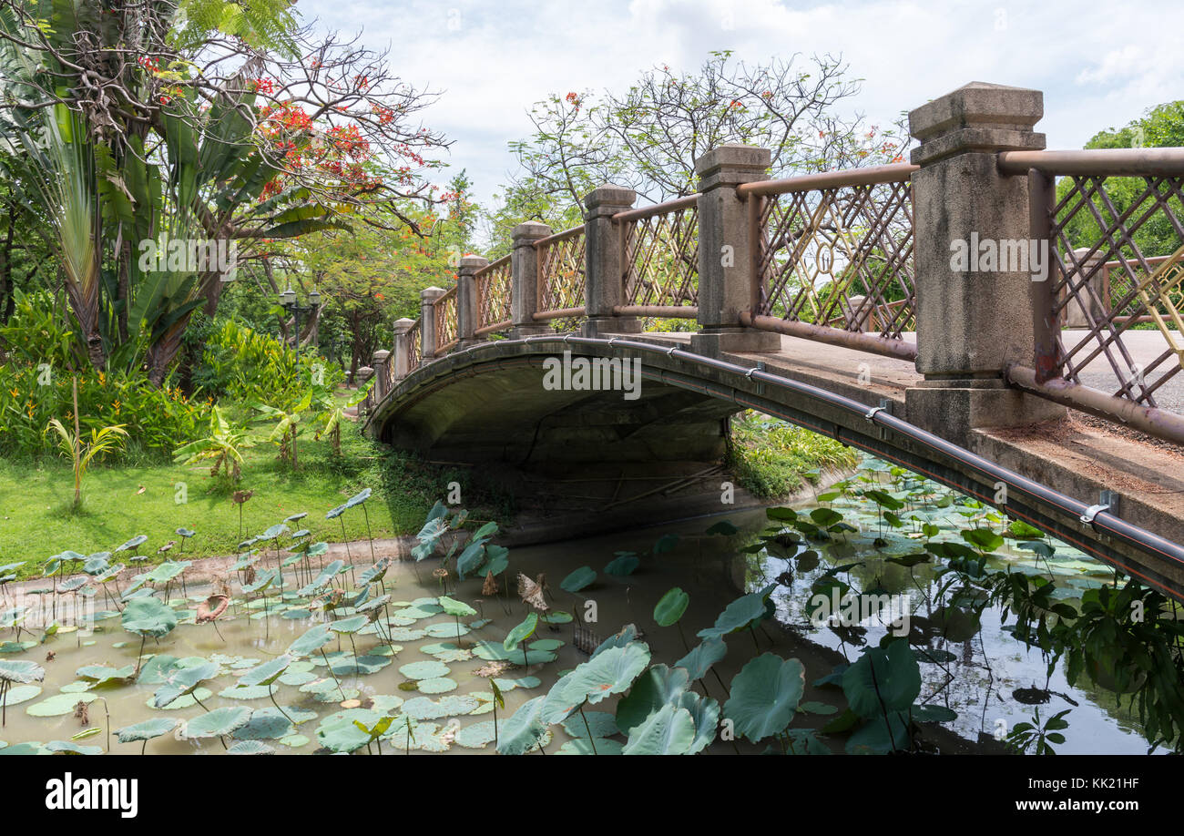 Arch concrete bridge with the metal rail is over the lotus pond in the ...
