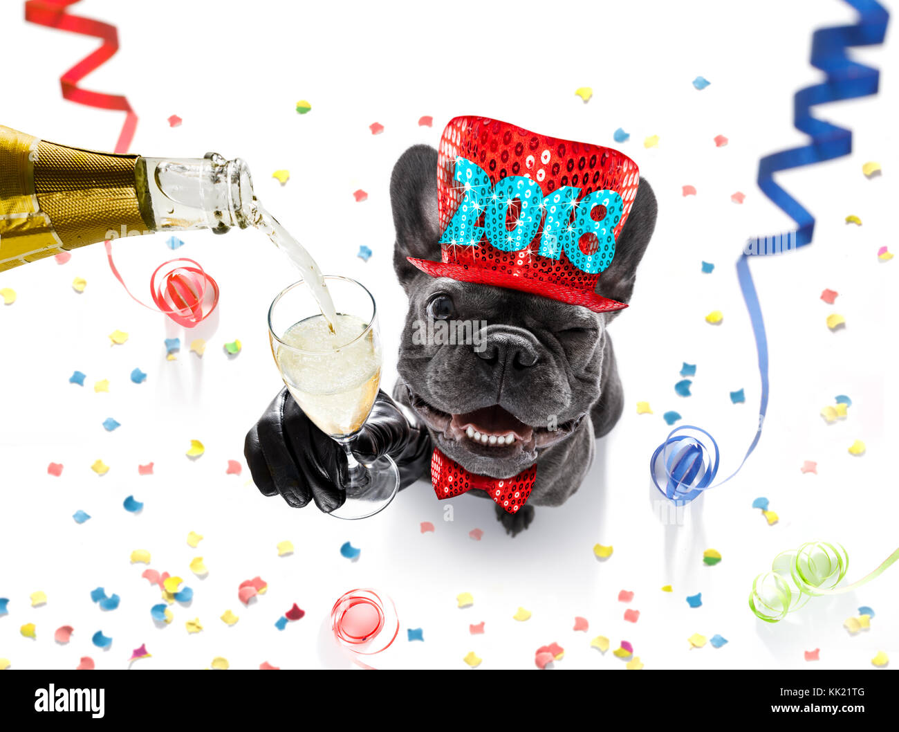 french bulldog dog celebrating new years eve with owner and champagne ...