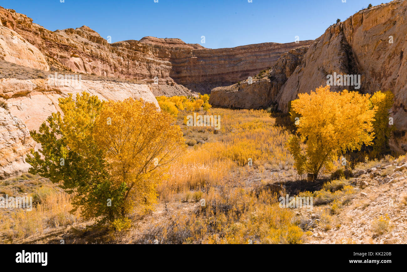Fall foliage in Capitol Reef National Park, Utah Stock Photo - Alamy