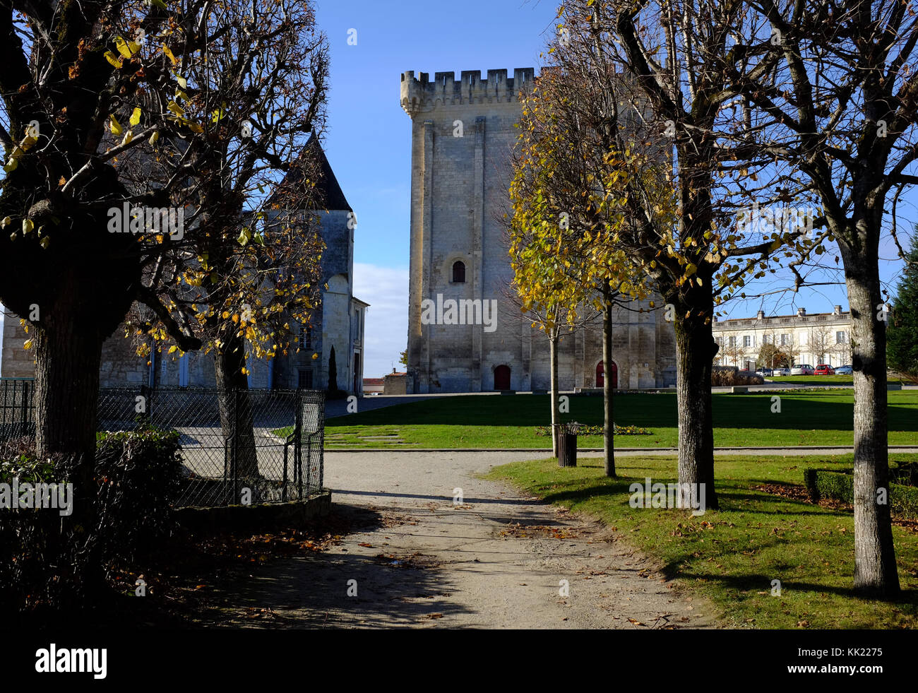 Turonensis hi-res stock photography and images - Alamy
