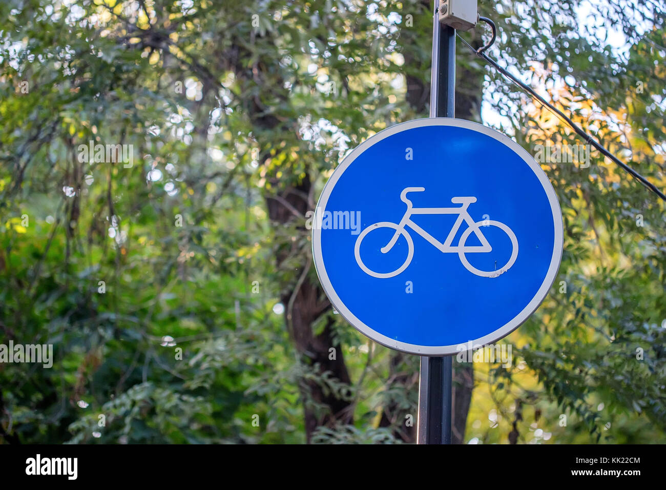Blue bicycle lane sign on pole Stock Photo - Alamy