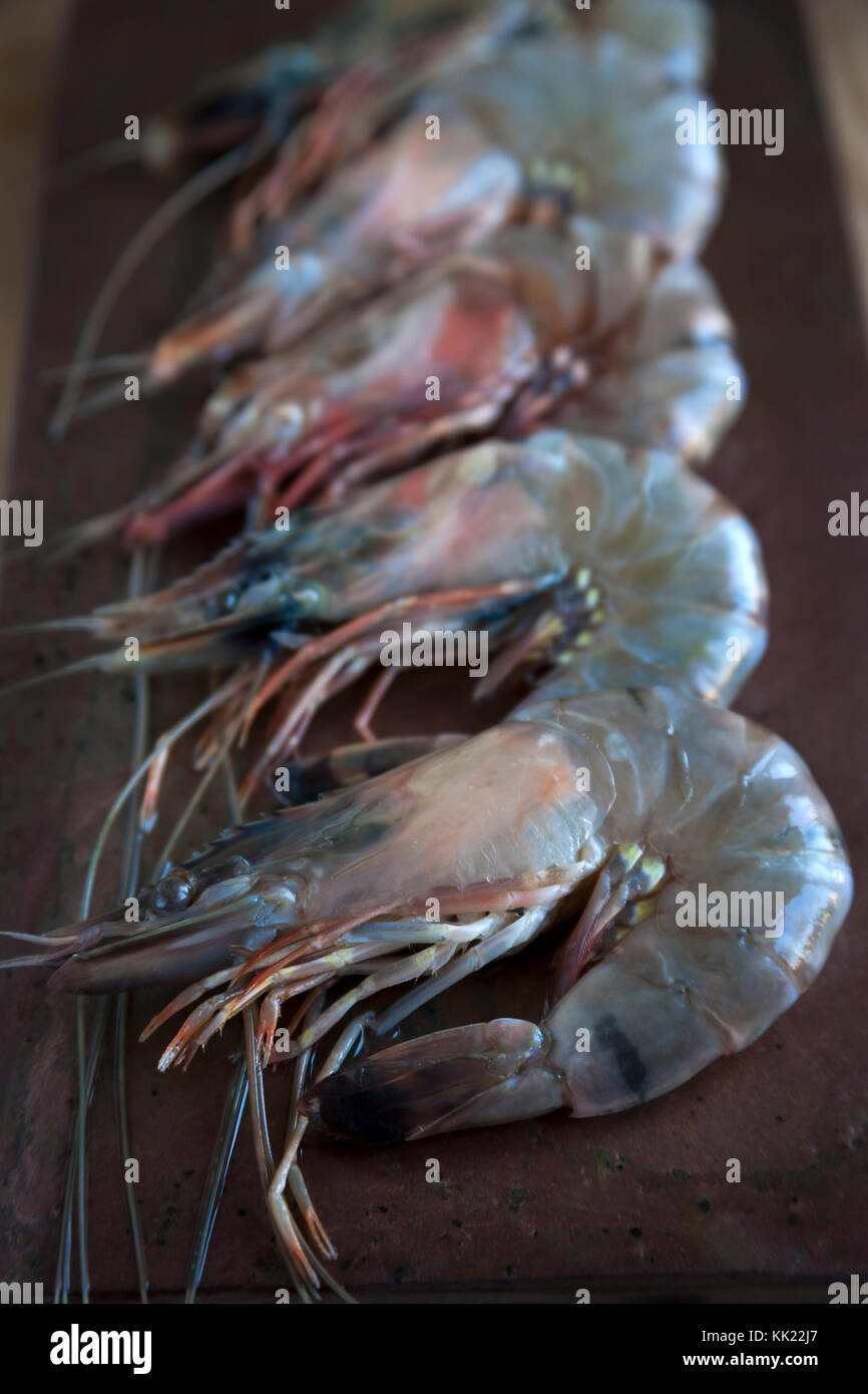 Raw king prawns in shells hi-res stock photography and images - Alamy