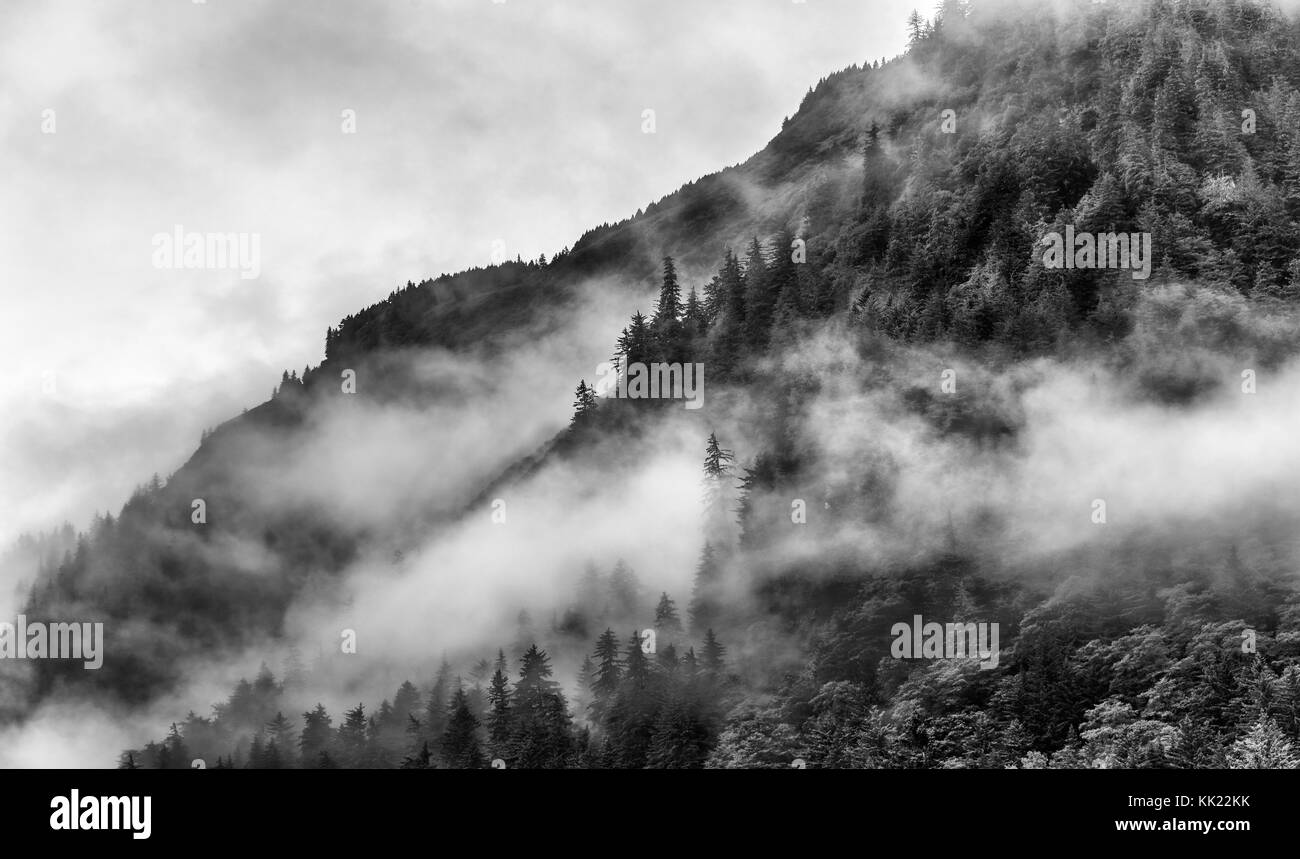 Misty foggy landscape low Black and White Stock Photos & Images - Alamy