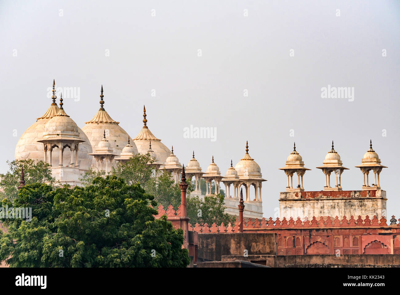 Moti Masjid or Pearl Mosque in Agra Fort, India Stock Photo - Alamy